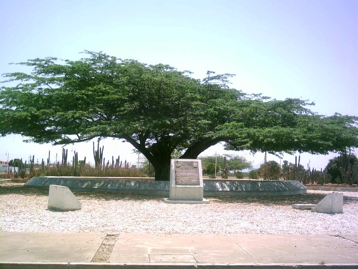 Archivo:Cuji en Punto Fijo Estado Falcon.jpg - La Venciclopedia